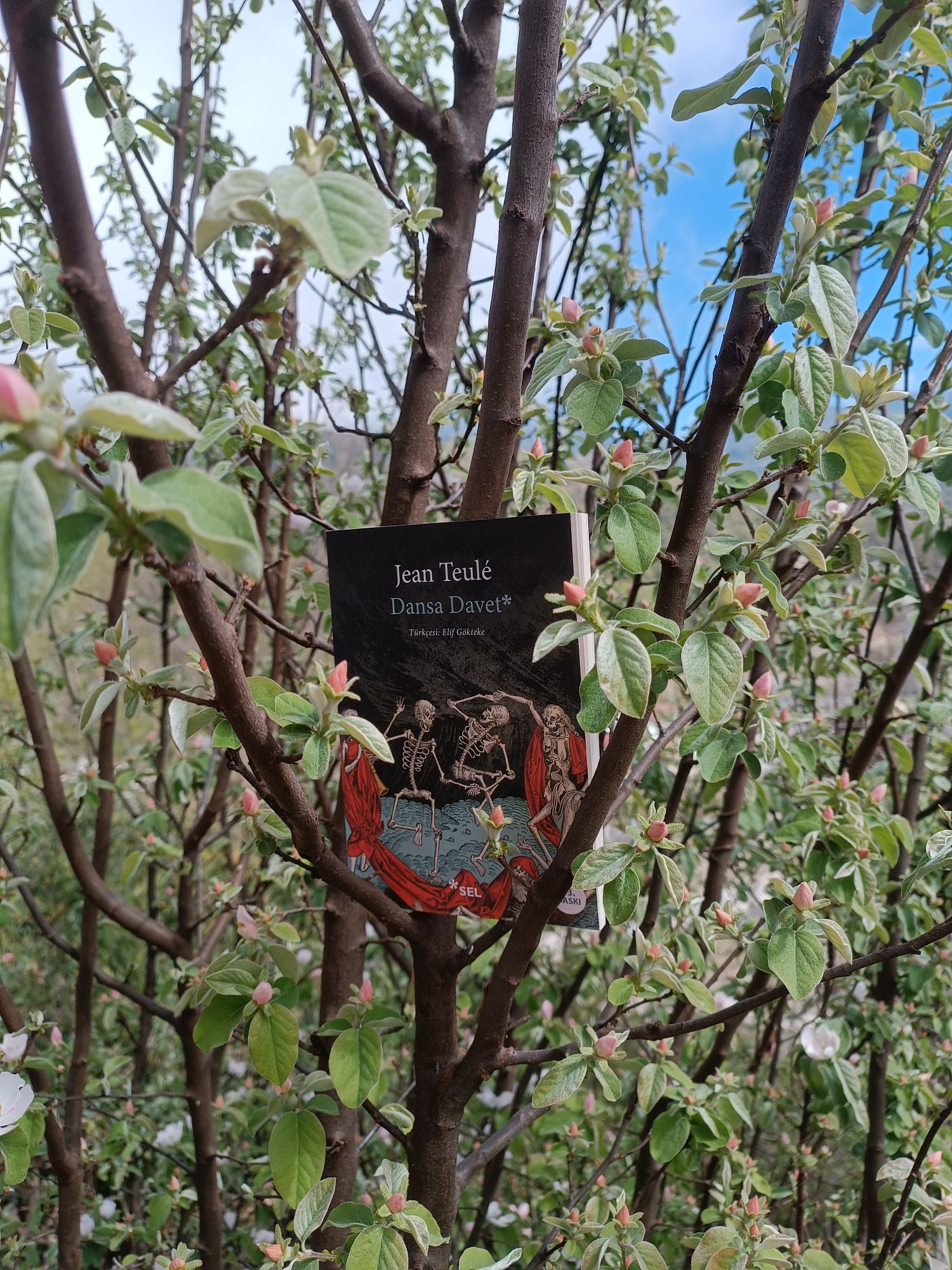 Jean Teule: Dansa Davet – MEYUS OKUR